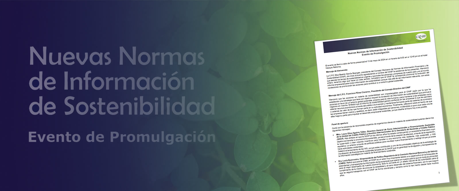 Consejo Mexicano de Normas de Información Financiera, A.C.